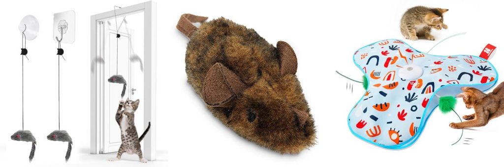 Top 5 Cat Breeds For Mouse Hunting: Your Ultimate Guide!