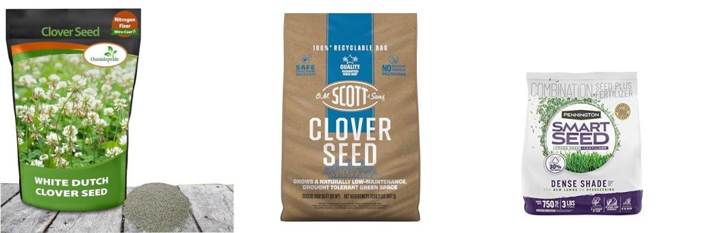 Top 5 Best Clover Varieties for Thriving Shade Gardens