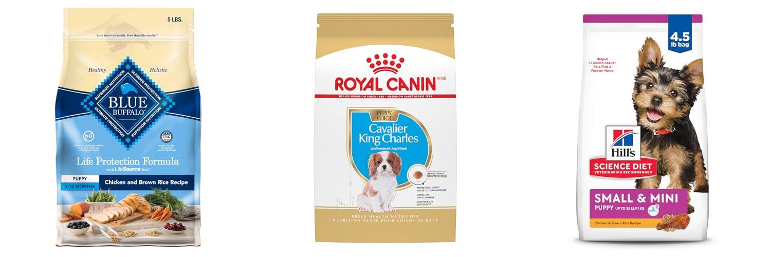 Top 5 Best Food For Cavapoo Puppies: A Complete Feeding Guide