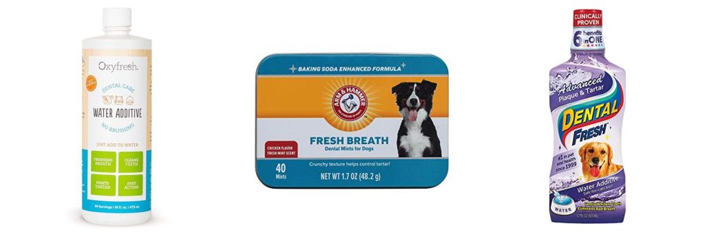 Top 5 Ways to Freshen Your Dog's Breath: A Complete Guide