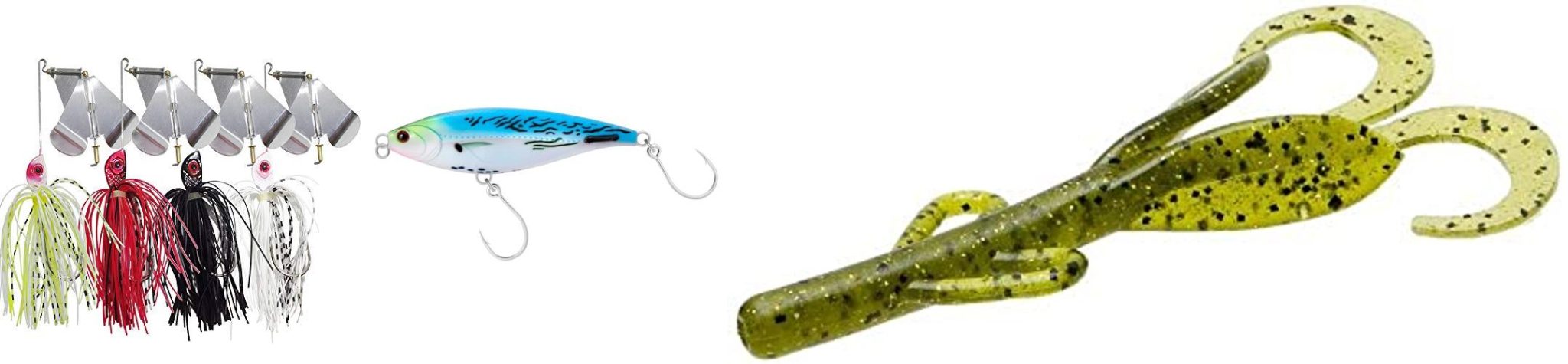 Best Bait For Dorado - Top 5 Picks & Review
