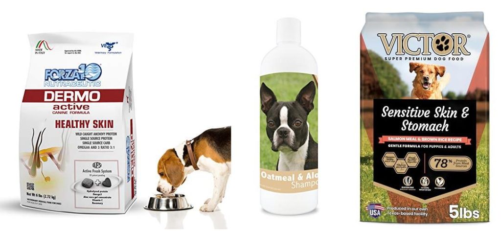 Top 5 Foods for Boston Terriers With Skin Allergies