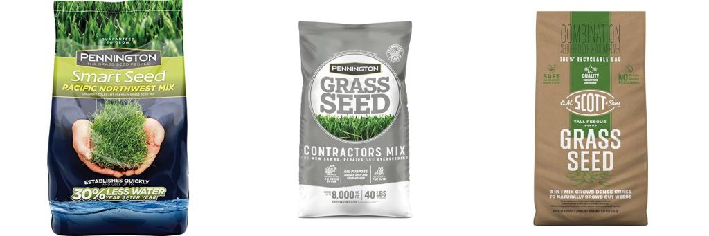 PNW Overseeding Grass Seed: Top 5 Picks Revealed