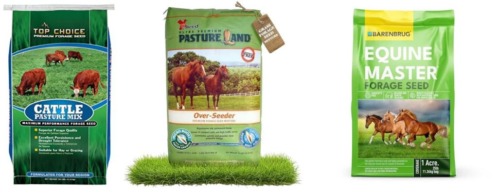 Top 5 Pasture Seed Mixes for Cattle: Your Essential Guide