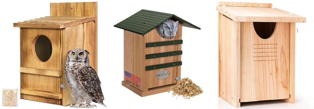 Top 5 Screech Owl Boxes: Your Ultimate Nesting Guide