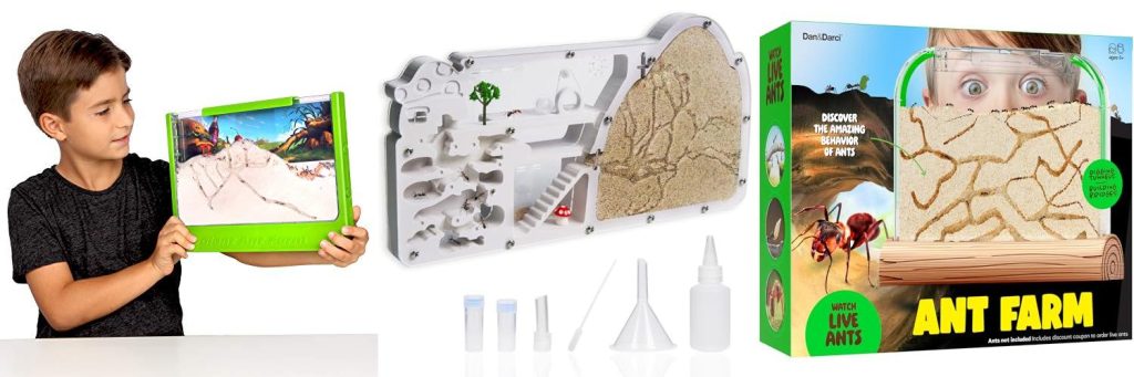 Best Ant Farms - Top 5 Picks & Review