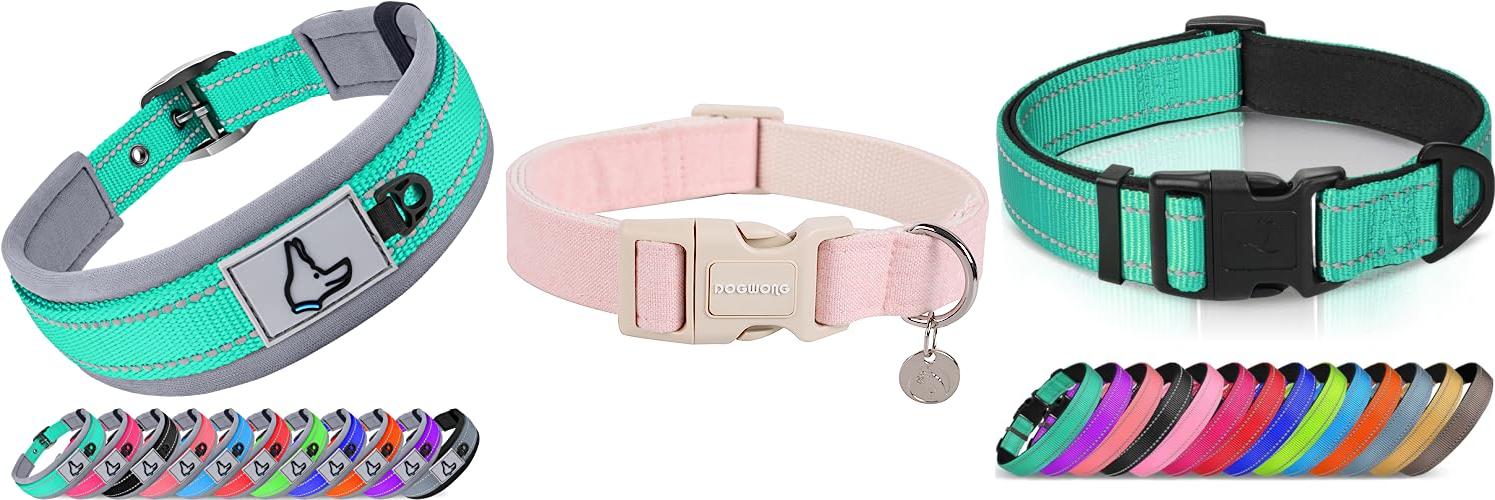 Top 5 Dog Collars for Sensitive Skin Reviewed