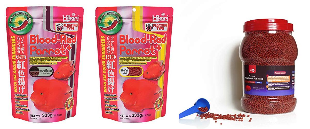 Best Parrot Fish Food - Top 5 Picks & Review