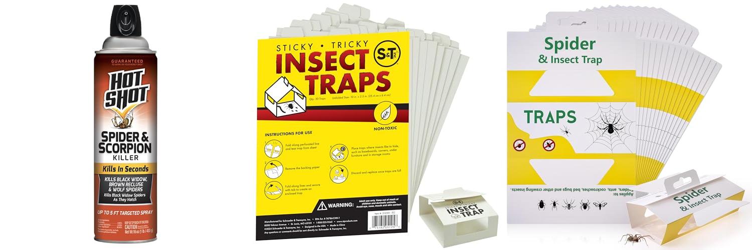 Top 5 Ways To Kill Black Widow Spiders: Expert Guide